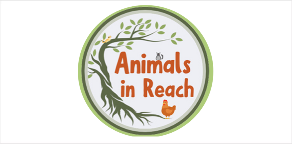 Animals in Reach | 21st June 2025 | Ages 0 – 10 – Lollipop